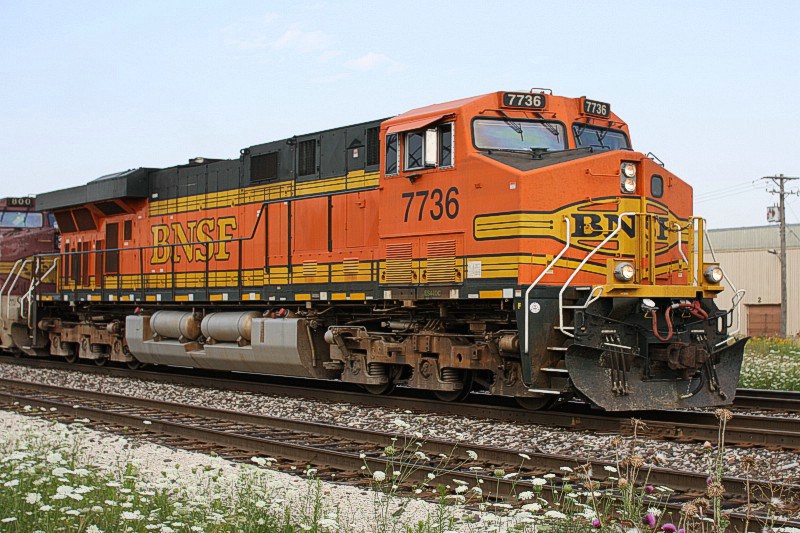 BNSF 7736